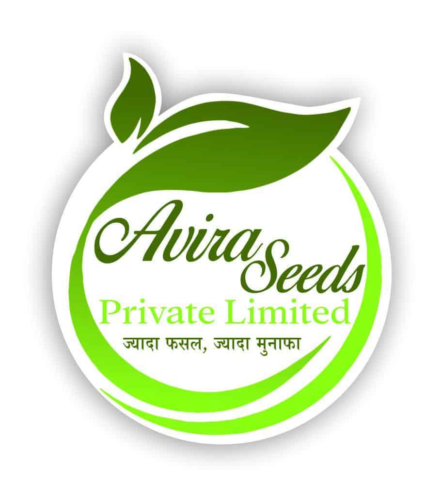 Hybrid Seed Supplier For Cotton And High-Yield Crops
